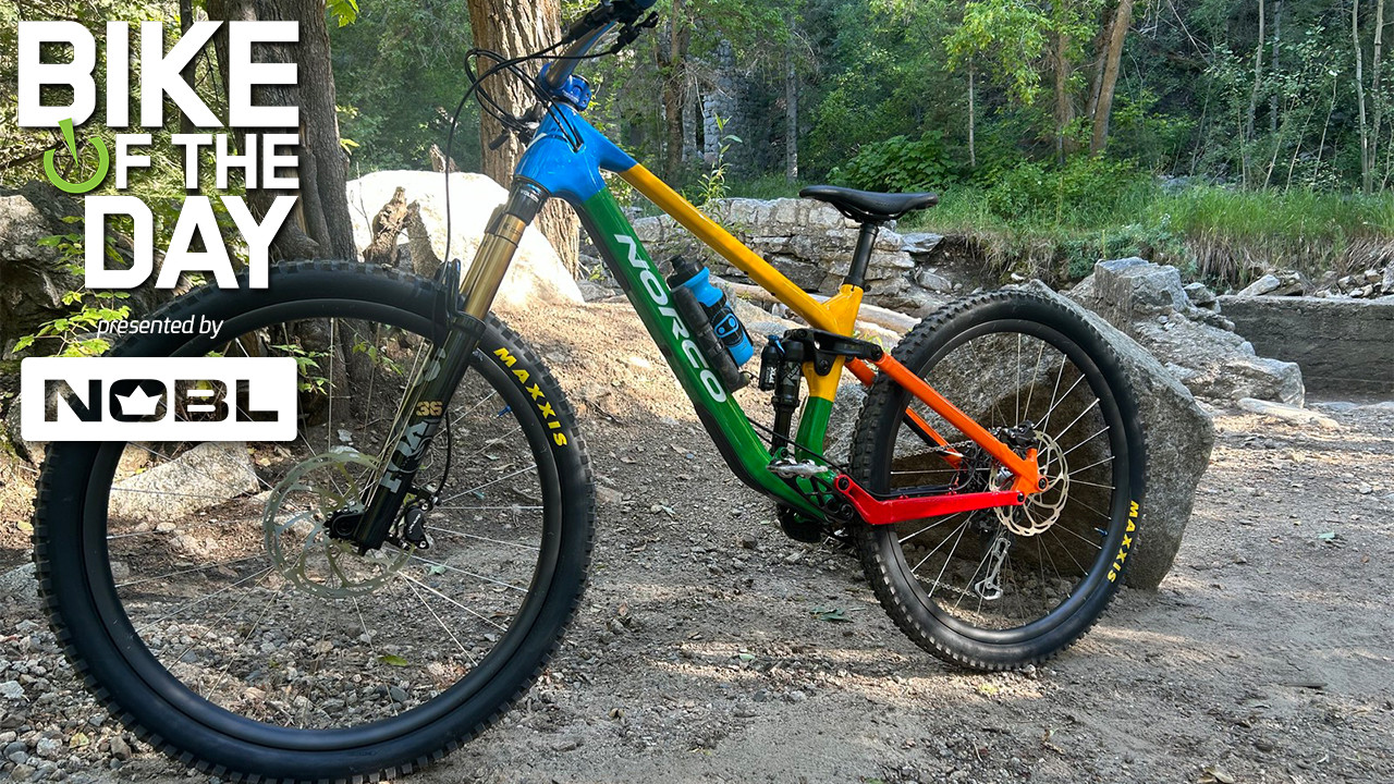 Bob Gnarly - rad-dad's Bike Check - Vital MTB